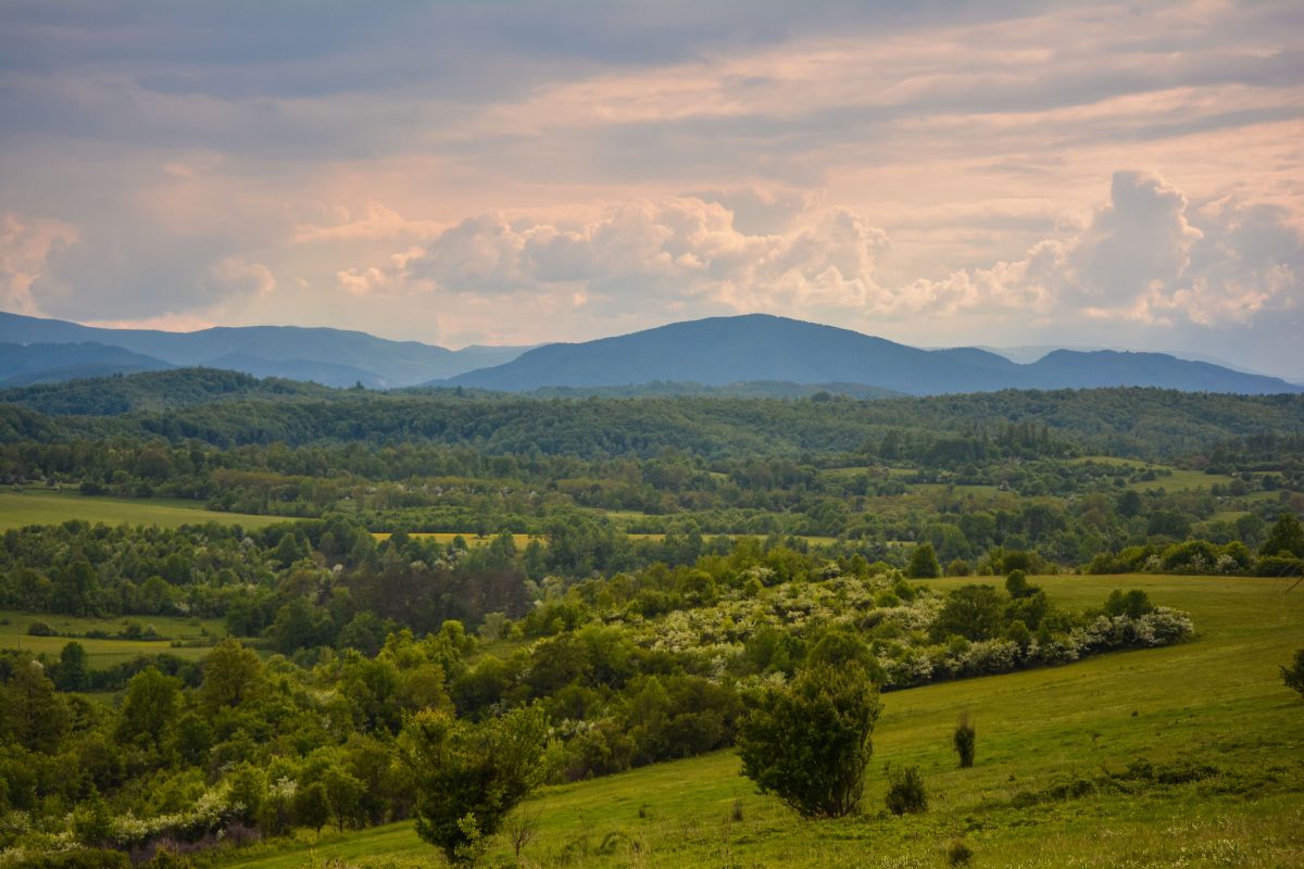 Emma Sonberg's Guide to Calf Mountain - Why it is a "Must See"